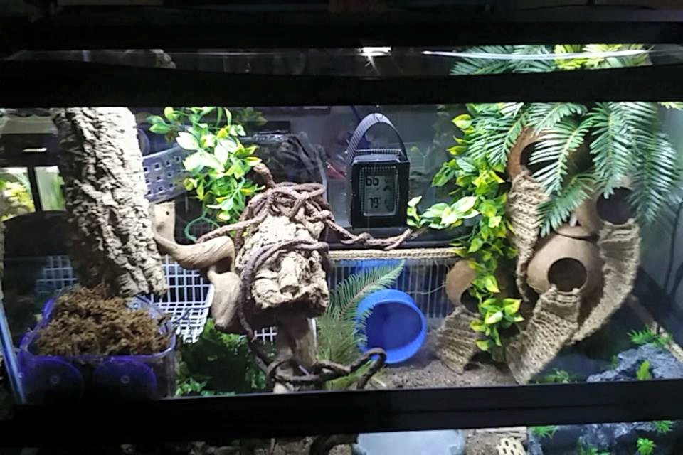 Krabitat Gallery – Krabitat