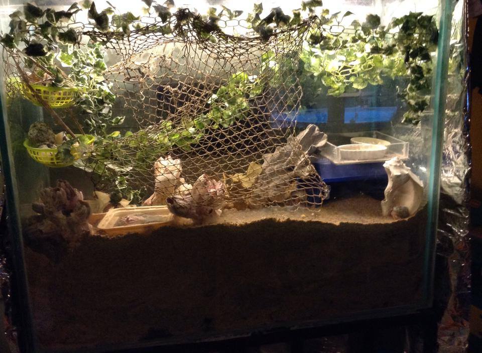 Krabitat Gallery – Krabitat