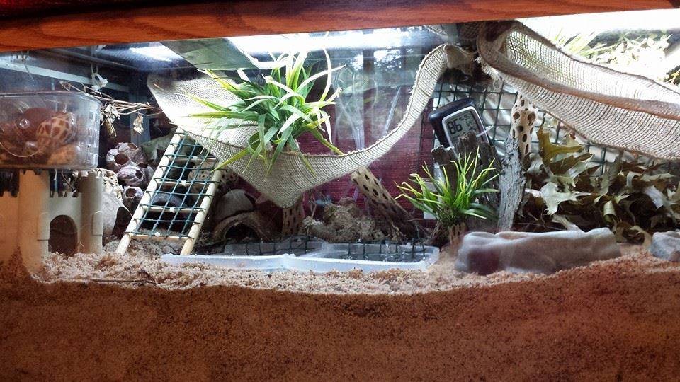 Krabitat Gallery – Krabitat