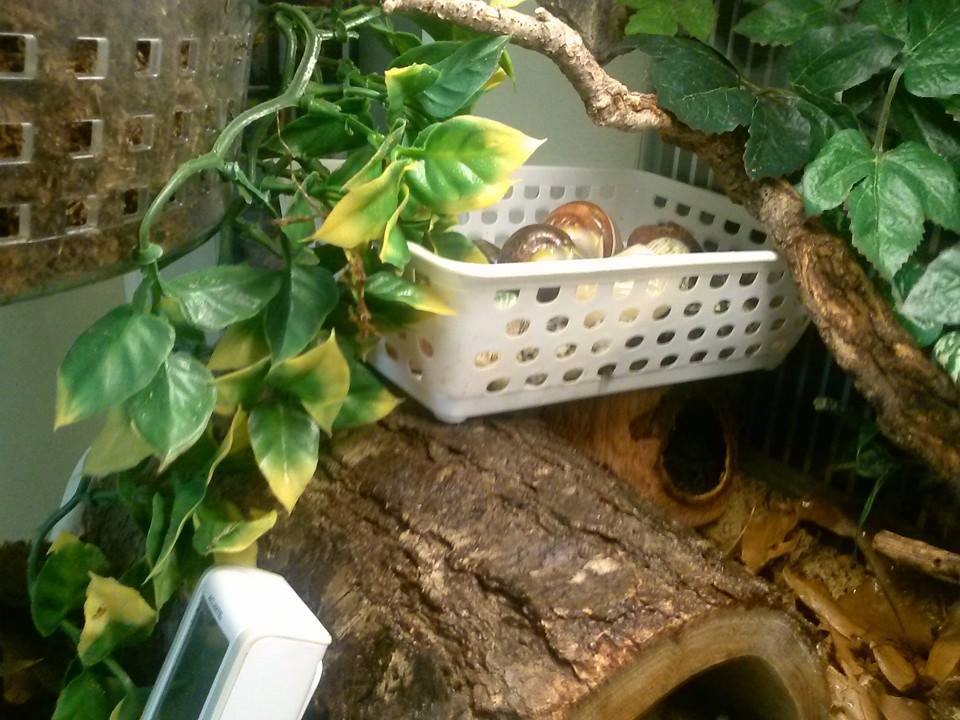 Krabitat Gallery – Krabitat