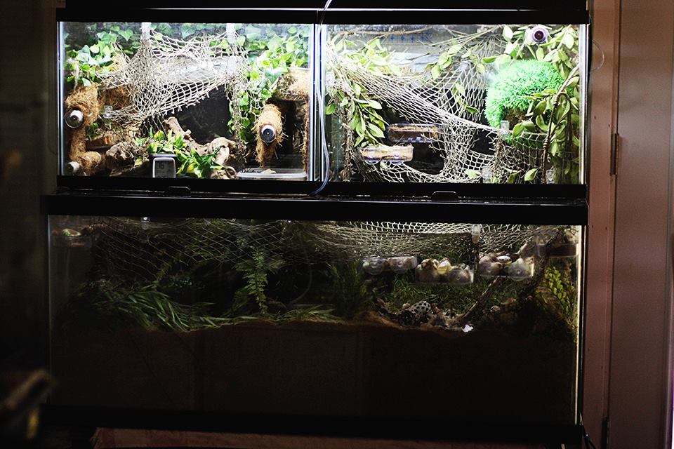 Krabitat Gallery – Krabitat