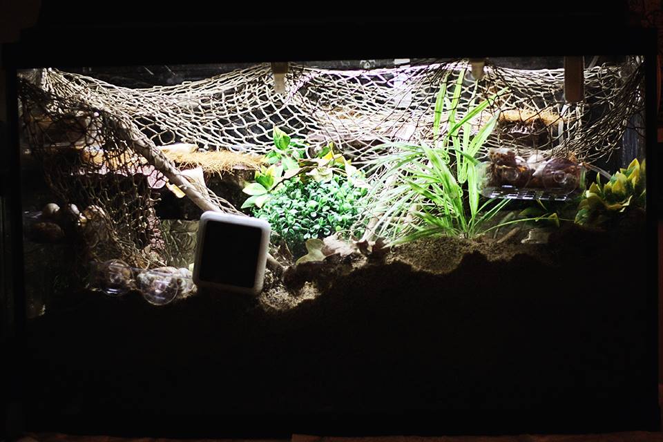 Krabitat Gallery – Krabitat